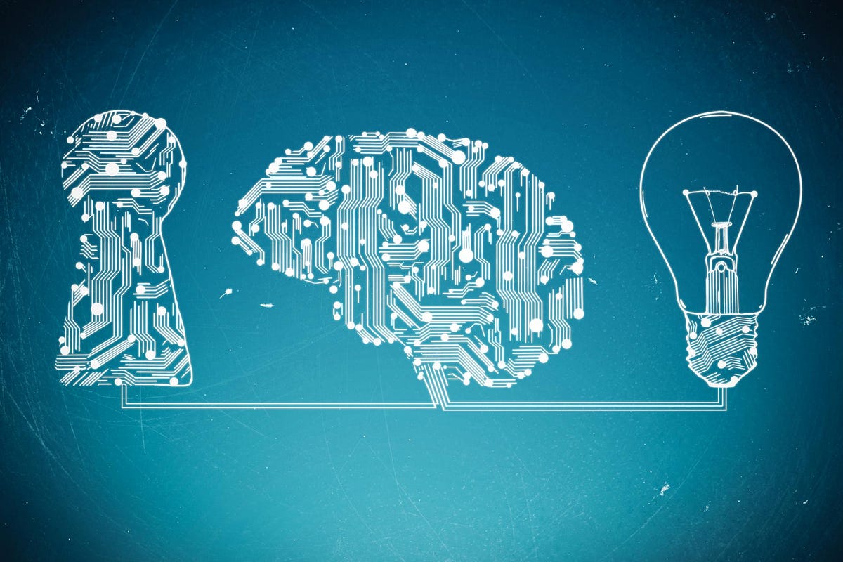 The Intellectual Blueprint: Unveiling the Relationship Between Brain Structure and IQ | by ...