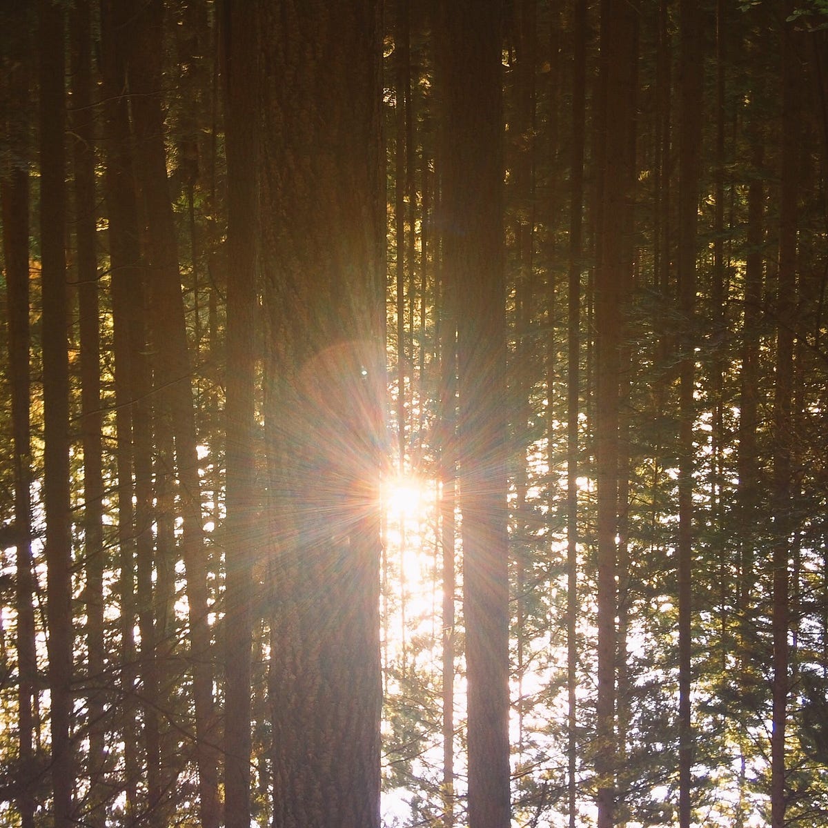 One lined-poem: Fear. I keep pulling myself back into bad… | by Dapavo ...