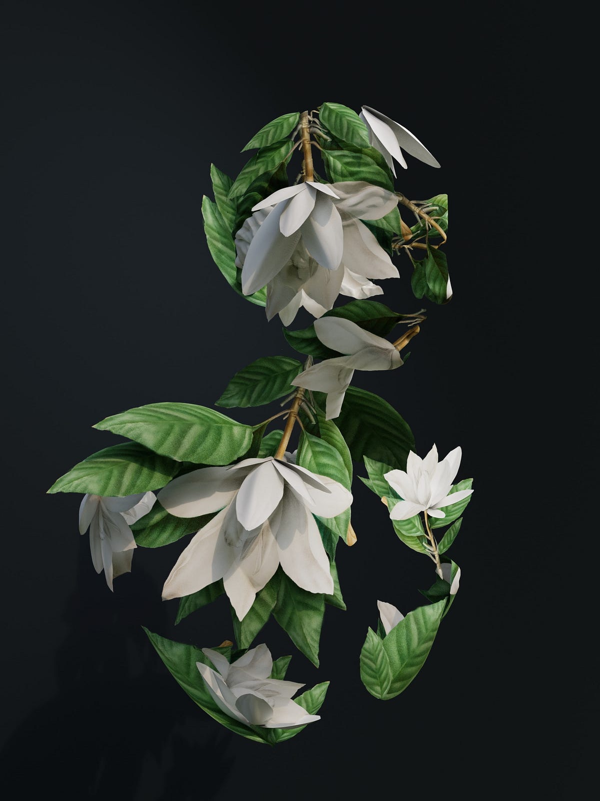 How To Bloom From Chart Reader Into Algorithmic Trader | by Peter ...