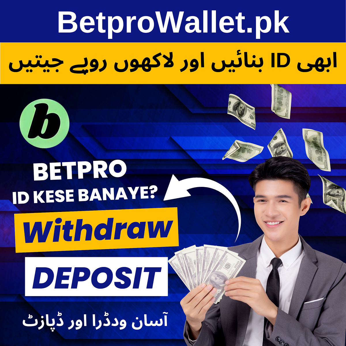 BetPro Wallet: Your Go-To Platform for Instant Fund Transfers | by ...
