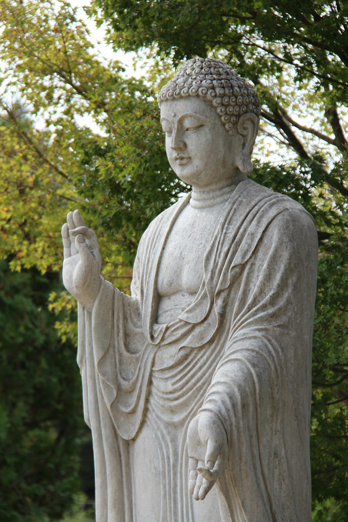 Understanding Dukkha: Reflections on the First Noble Truth | by Mostafa ...