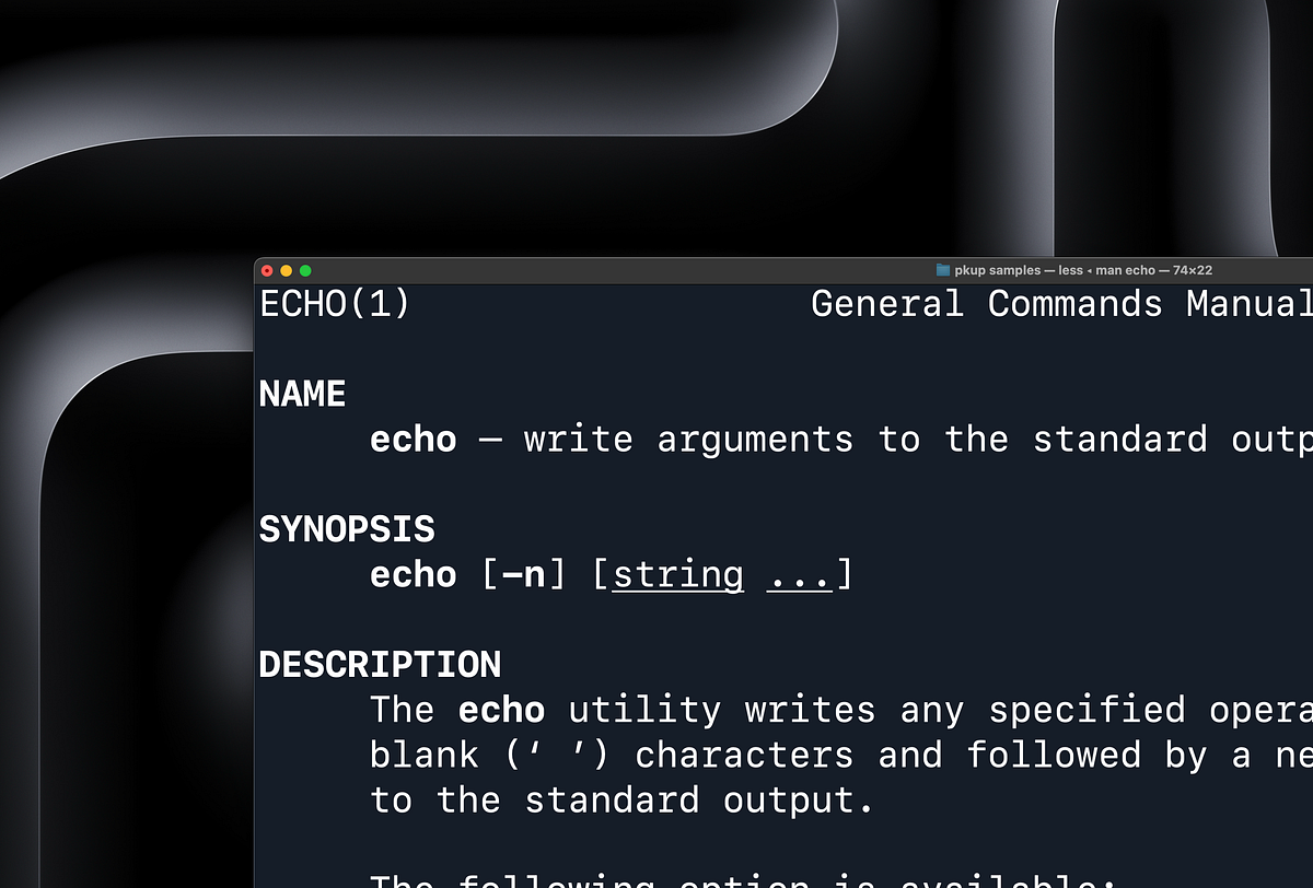 Echo Your Thoughts: Mastering the echo Command | DevOps Engineering on Cloud