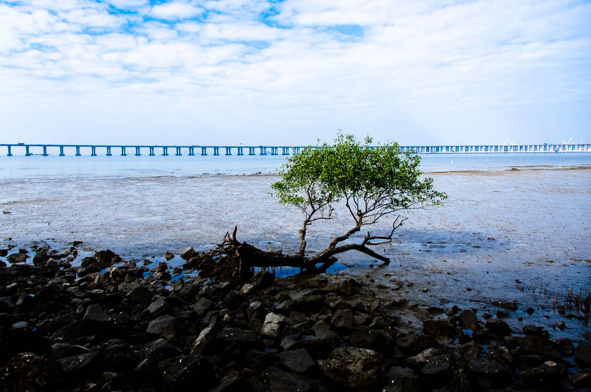 Fine Tune Your Own Gpt 2 Model With Pytorch For Generate Text By