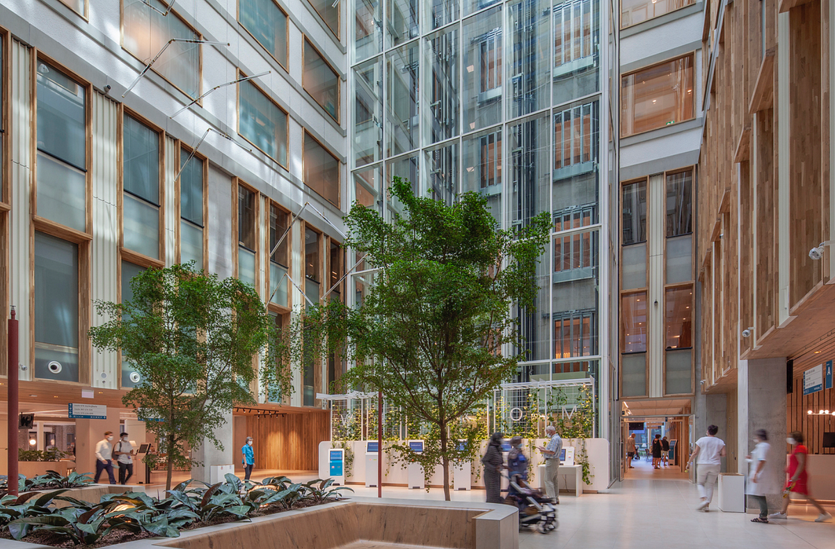 A Vision for Healing Spaces: How Nature and Beauty Can Transform ...