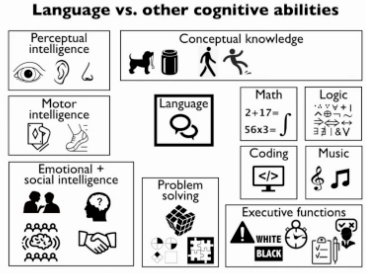 Live Notes of Evelina Fedorenko’s Keynote @EMNLP 2021 | by Zhijing Jin ...