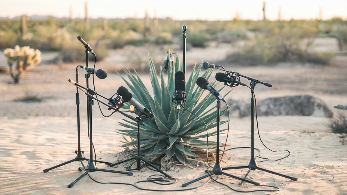 Are Plants Really Screaming When They’re Stressed? | by Mark Heues | Mr ...