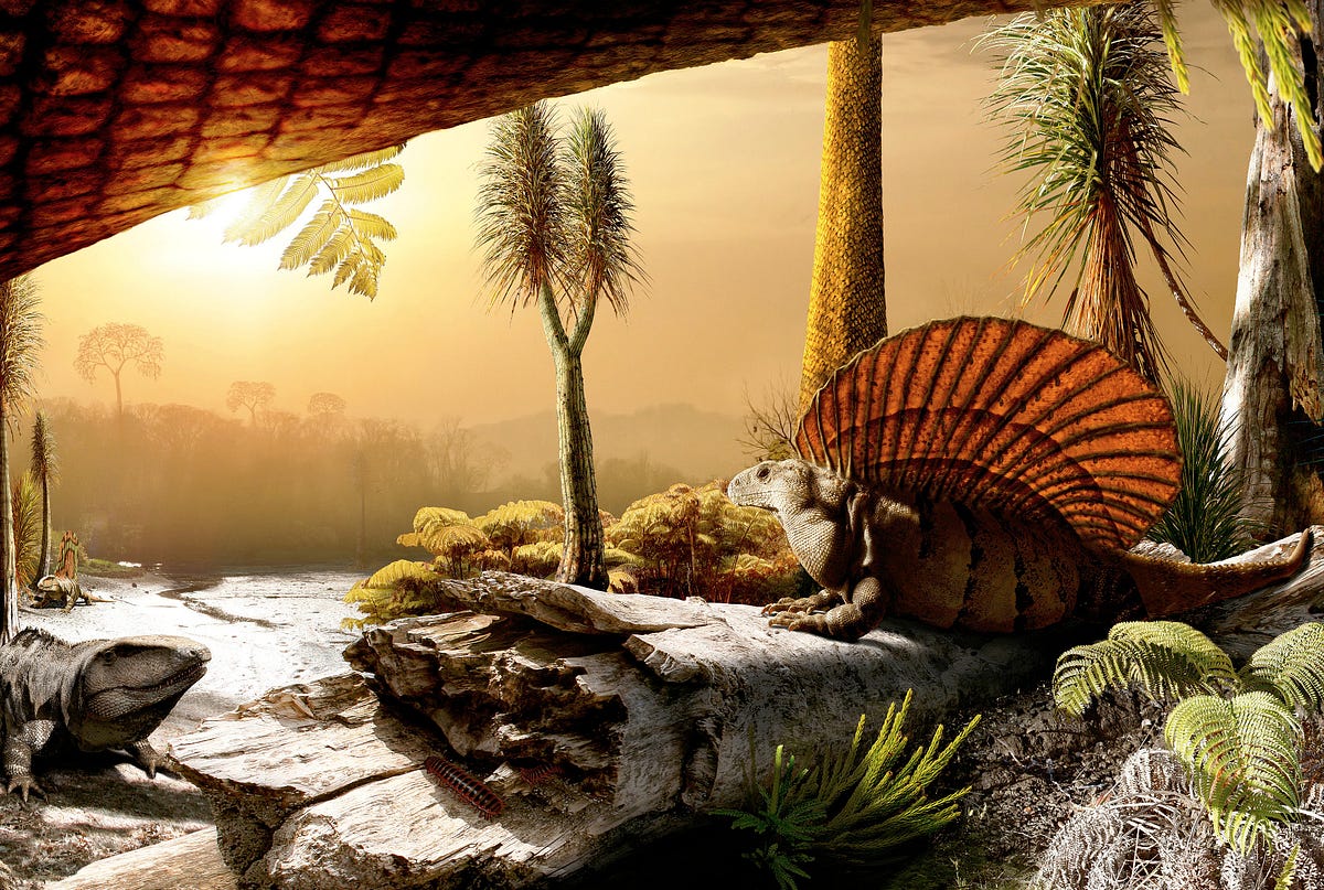 La megafauna terrestre del Permiano e gli antenati dei moderni ...