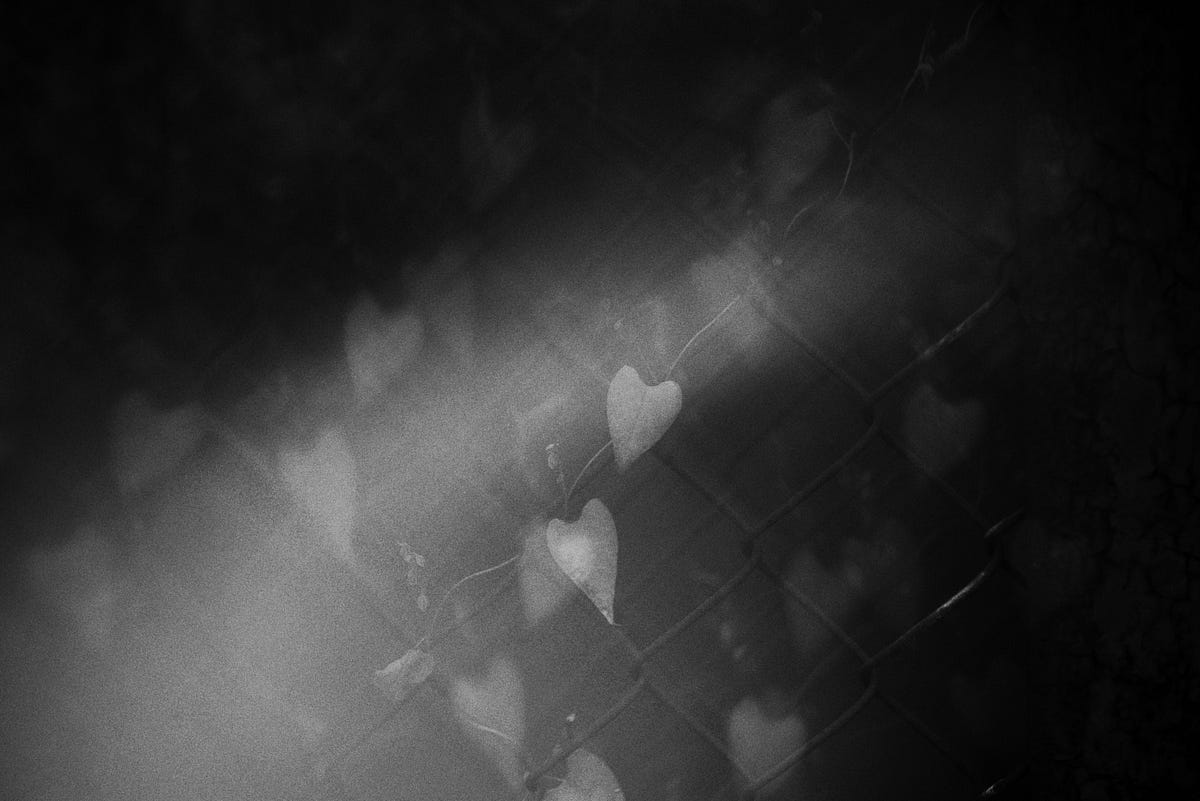 I Want to Love You — A Poem About Loving Without Certainty | Medium