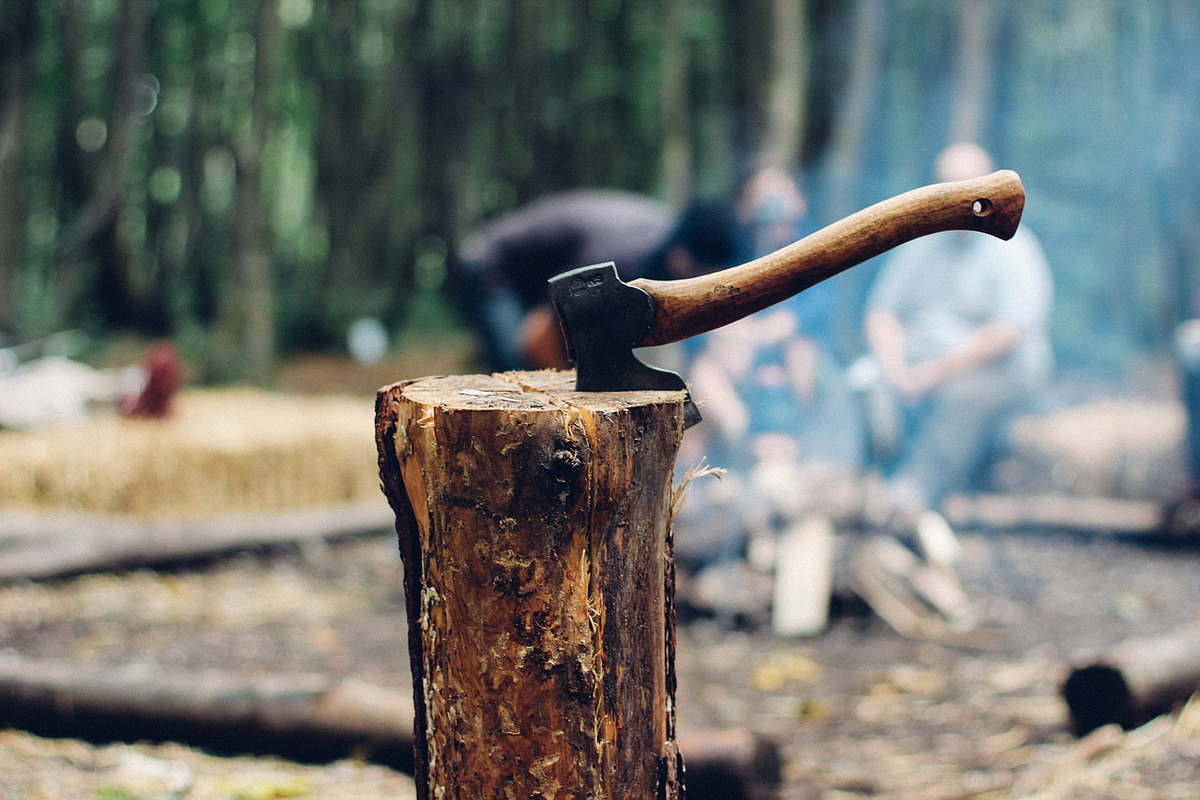 Timber!. Making logs a little more useful with… | by Wojciech ...