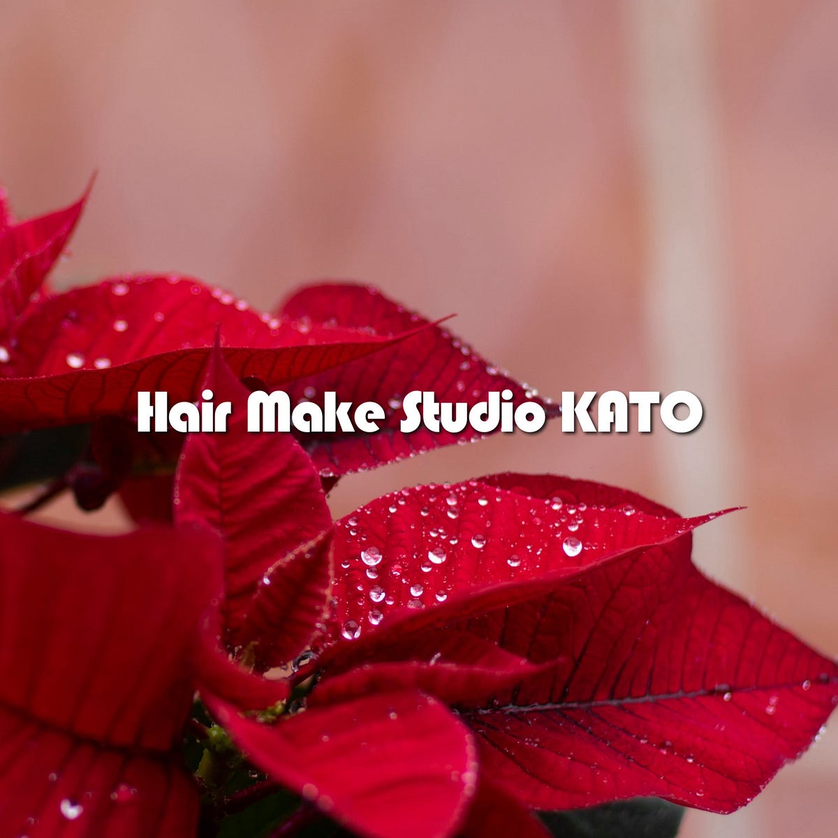 12月の営業カレンダー - Hair Make Studio KATO
