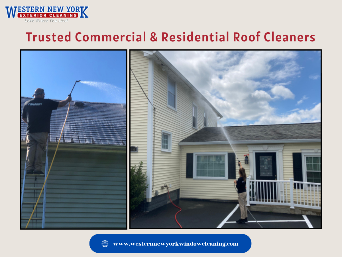 Roof Cleaning Webster NY - Western New Exterior Cleaning - Medium
