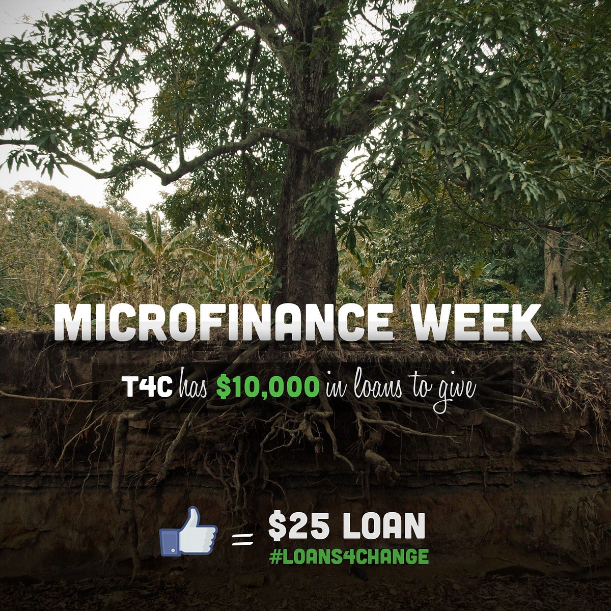 The Power of Microfinance. Chris Janssen shares his thoughts on… | by ...