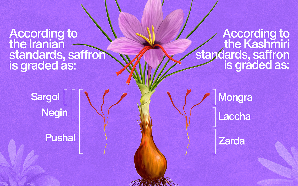Saffron 101: Know Your Kesar and Choose Wisely! | by The RARE FOOD Co ...