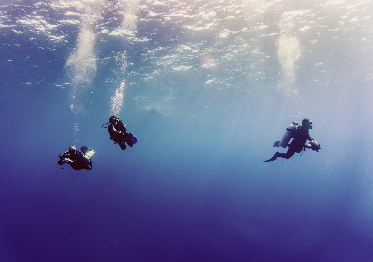 The Dive Industry in April 2021: Newsletter | by Darcy Kieran (Scuba ...