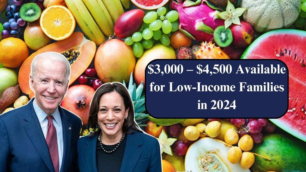 $3,000 — $4,500 Available for Low-Income Families in 2024: SNAP, EBT ...