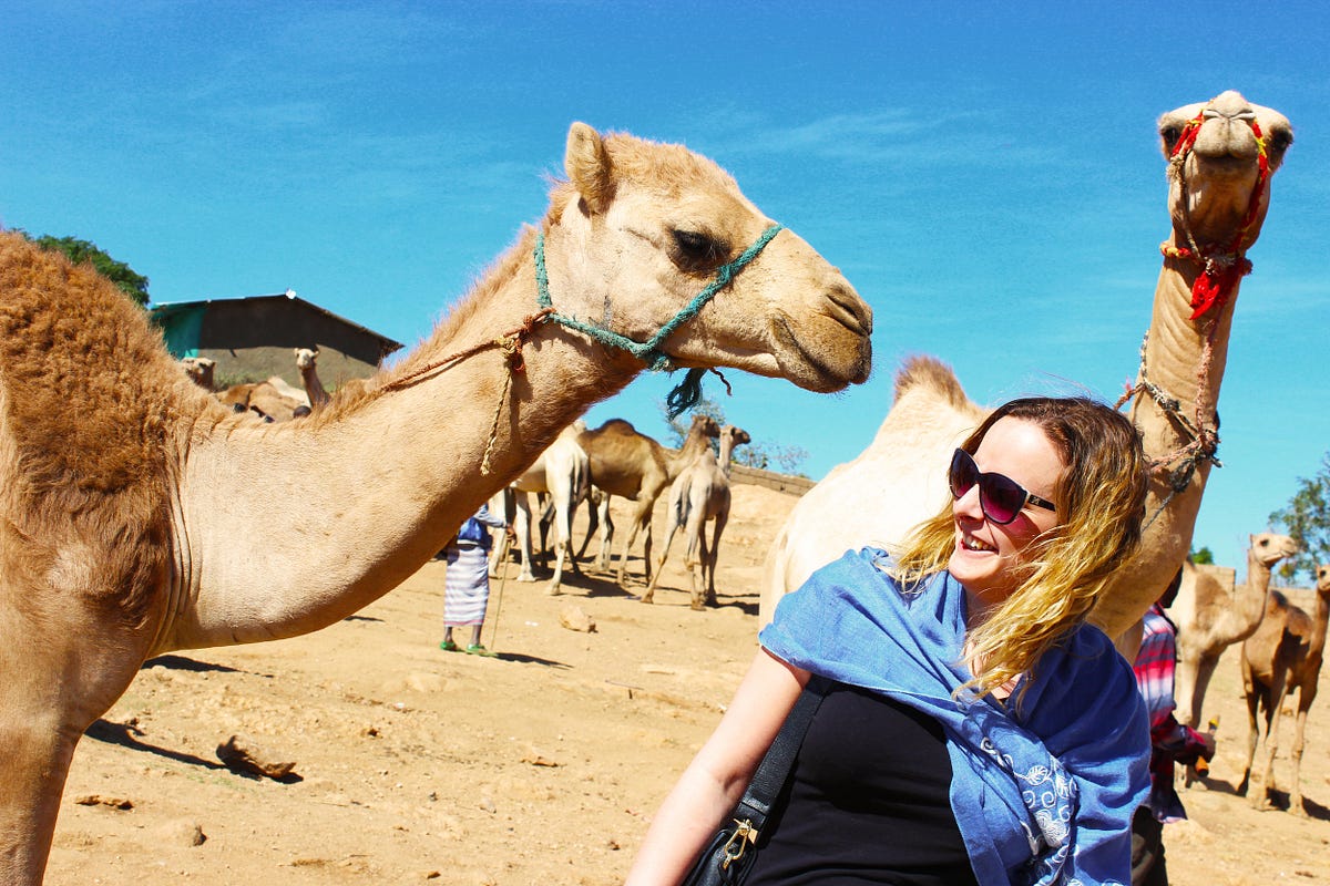Solo travel in Babile, Ethiopia: exploring the camel market | by ...