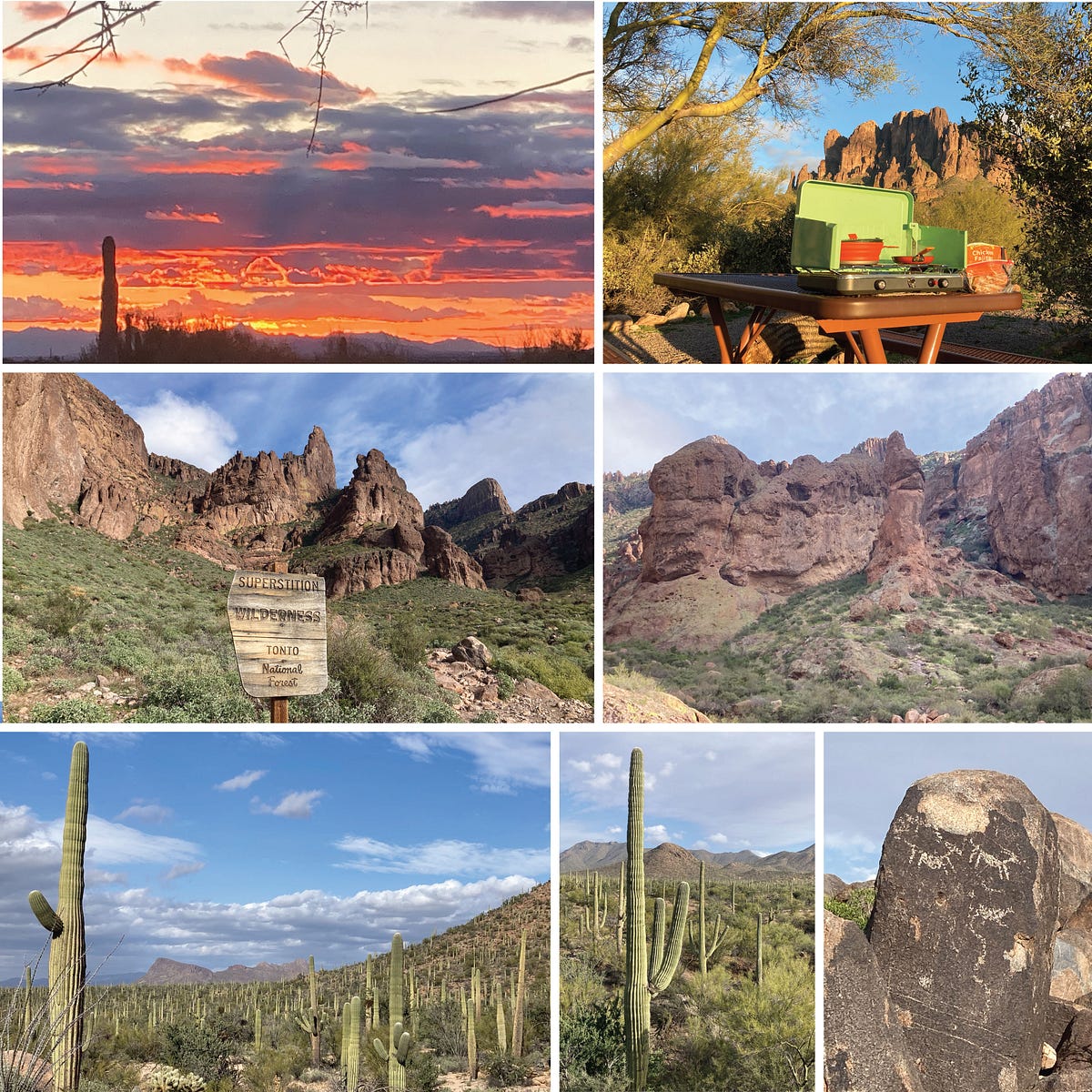 The Lost Dutchman State Park and Saguaro National Park, Arizona | by Gila Melamed | Medium