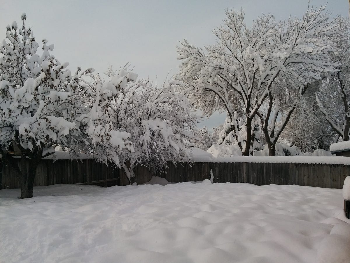 I’m Sick of It (A Snow Day Tale). The alarm blares like a warning for ...