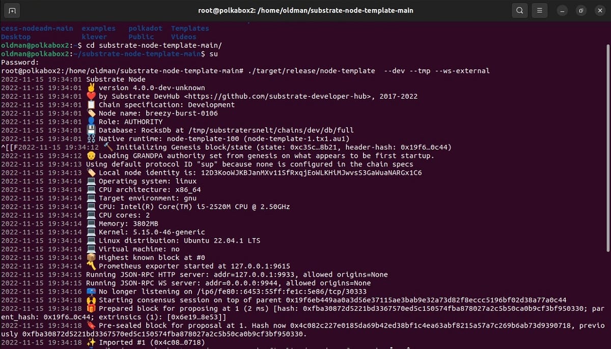 Installing a Node Substrate on Linux — Fast and Easy | by Antônio Marcelo Ferreira da Fonseca ...