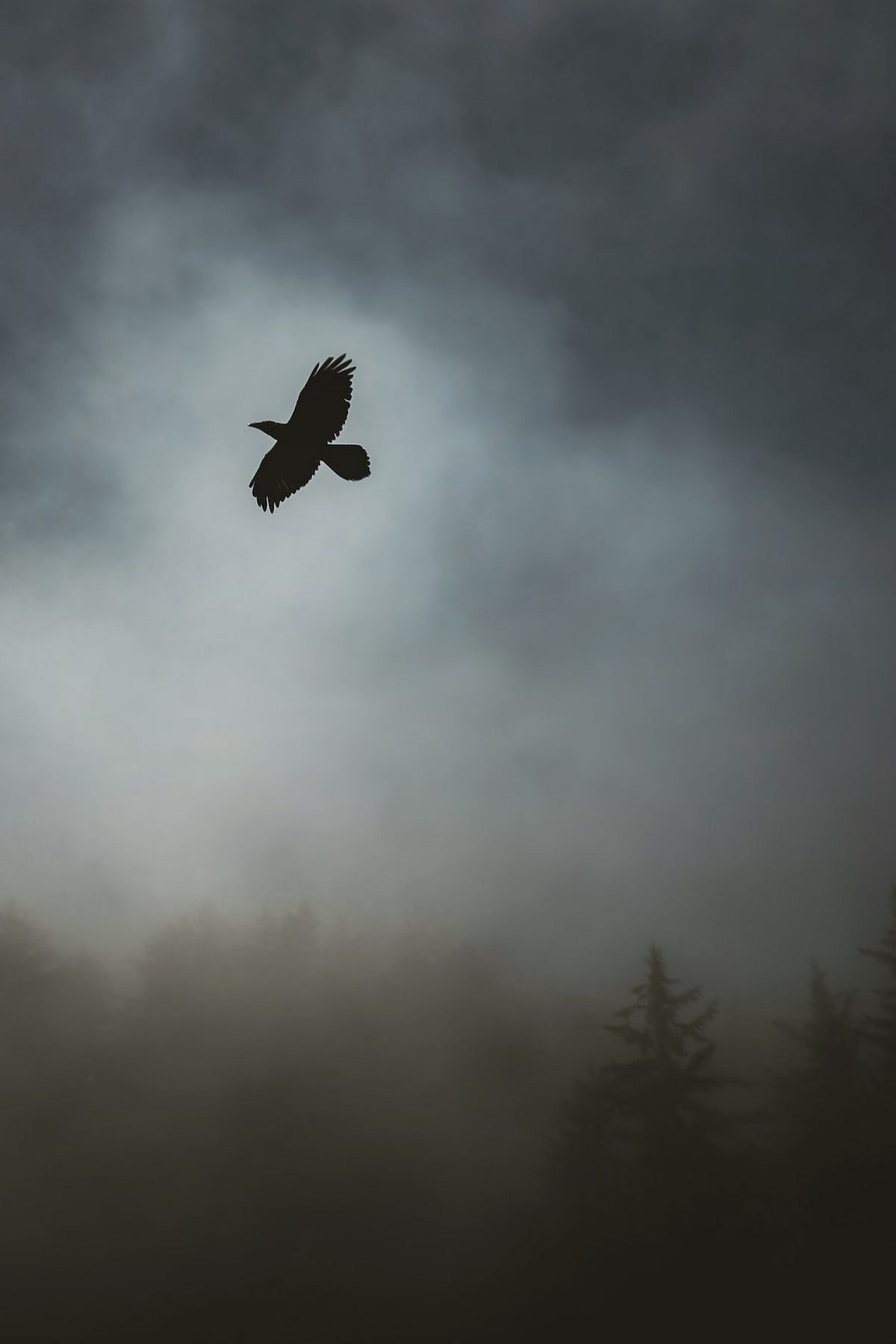 Unfolding Wings: Embracing the Journey Beyond Trials | by Setumo Seroka ...