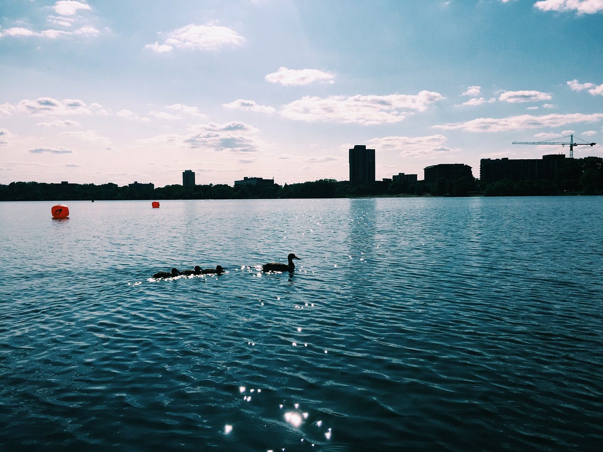 The Dock. Day 92 of the 100 Day Project | by Kara Larson | Medium