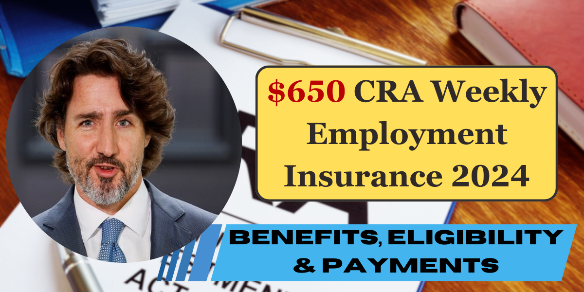 $650 CRA Weekly Employment Insurance 2024 — Check Benefits, Eligibility ...