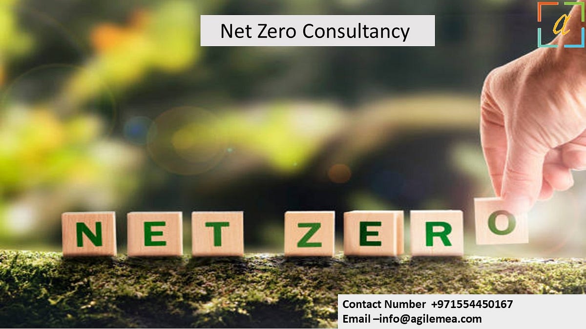A Synopsis of Net Zero’s History. We as a Net zero consultancy, the… | by Esgconsultantintern ...