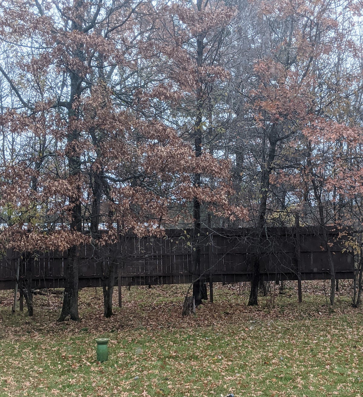 Daily Musing #1. thoughts on a cold October day | by Michelle Zanoni ...