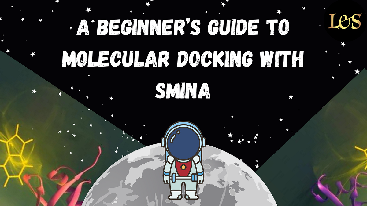 A Beginner’s Guide to Molecular Docking with Smina | by Adnane Aouidate ...