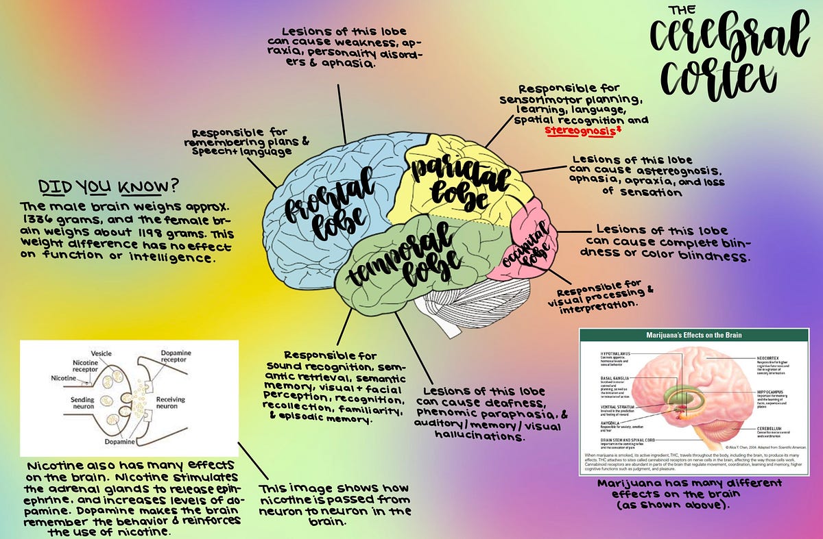 The self is both innate and constructed | Curated Newsletters