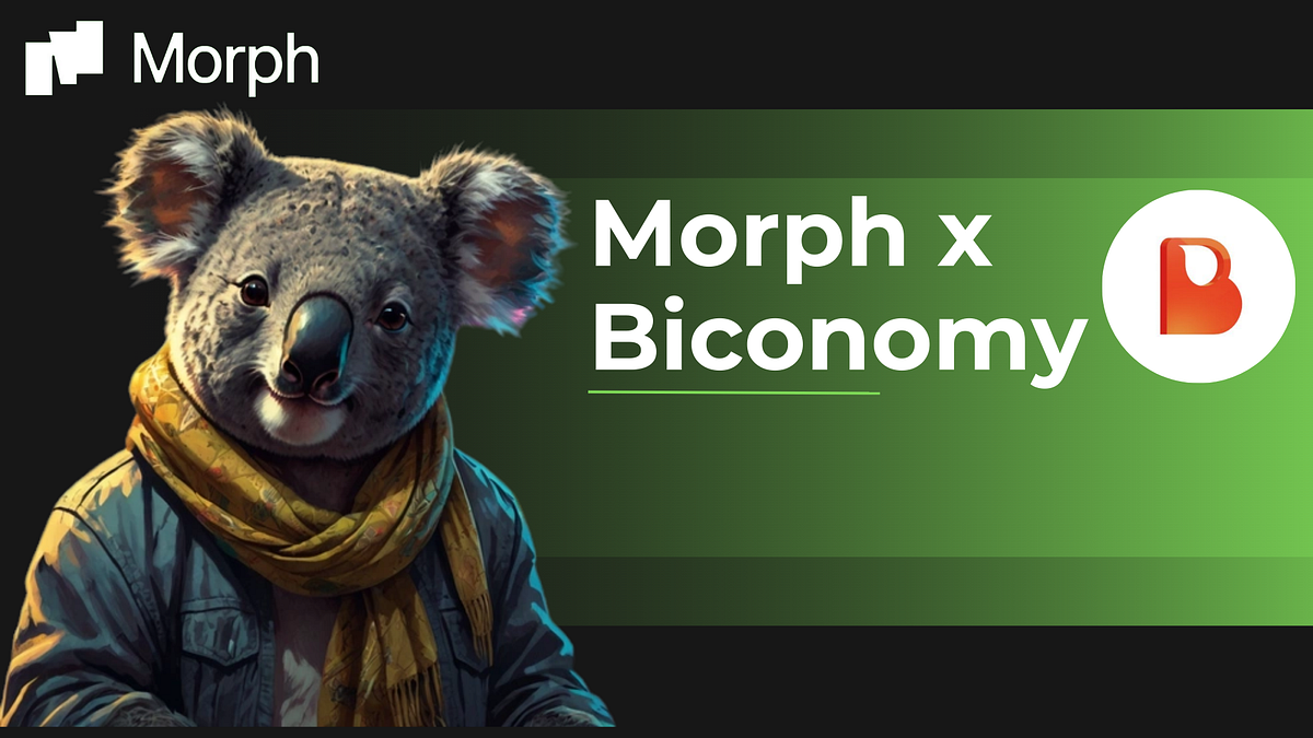 Morph x Biconomy. Droga Społeczności Morph, | by Володимир | Jun, 2024 | Medium