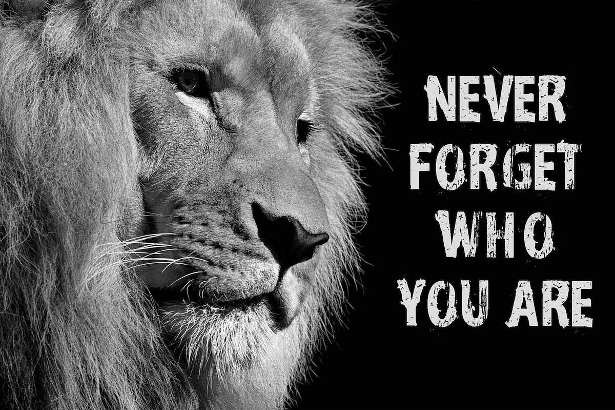 New Moon in Leo, Wednesday, August 16th 5:38am ET | by Dave Haskins ...