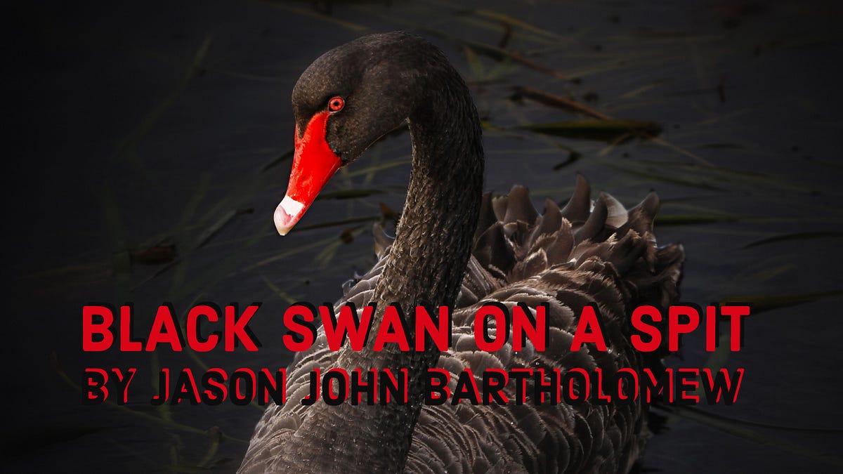 Black Swan on a Spit. by Jason John Bartholomew | by jason john ...