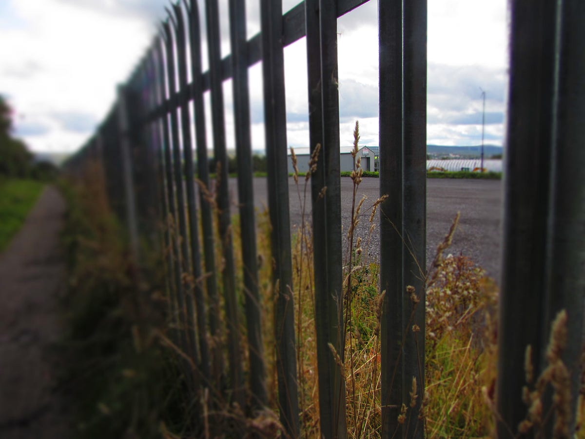 Photo Essay: The Reality of Urban Encroachment | by Sound and Vision ...