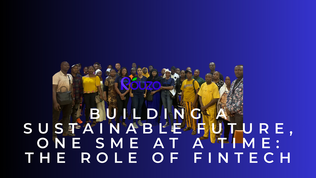 Building a Sustainable Future, One SME at a Time: The Role of Fintech ...