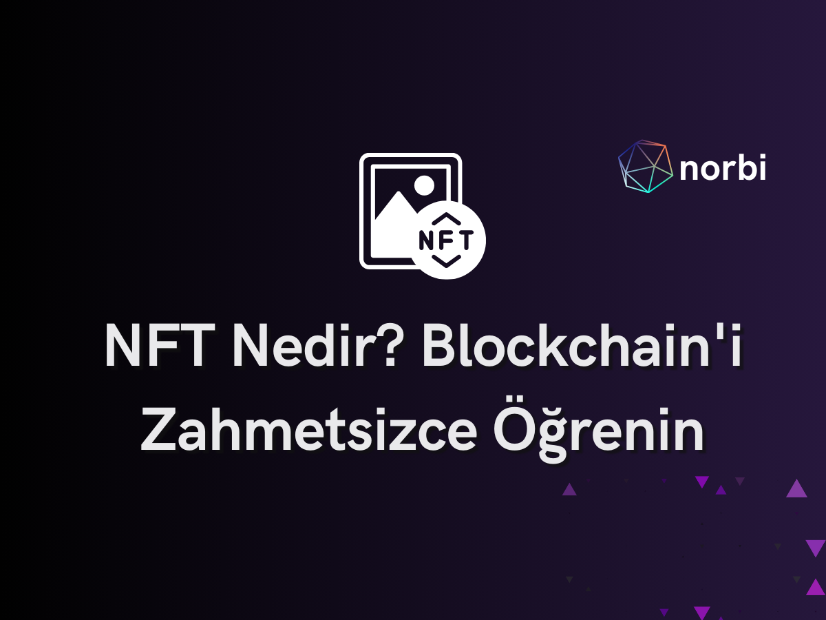 NFT Nedir? Blockchain’i Zahmetsizce Öğrenin | by Haleesi | Aug, 2024 | Medium