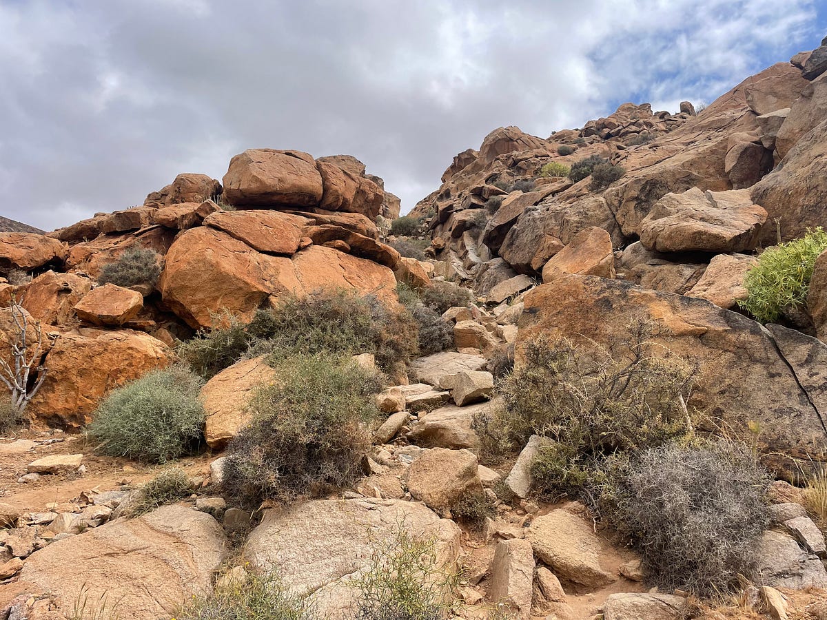 A Holiday on Mars. Getting off the beaten track in… | by Meg MacMahon ...
