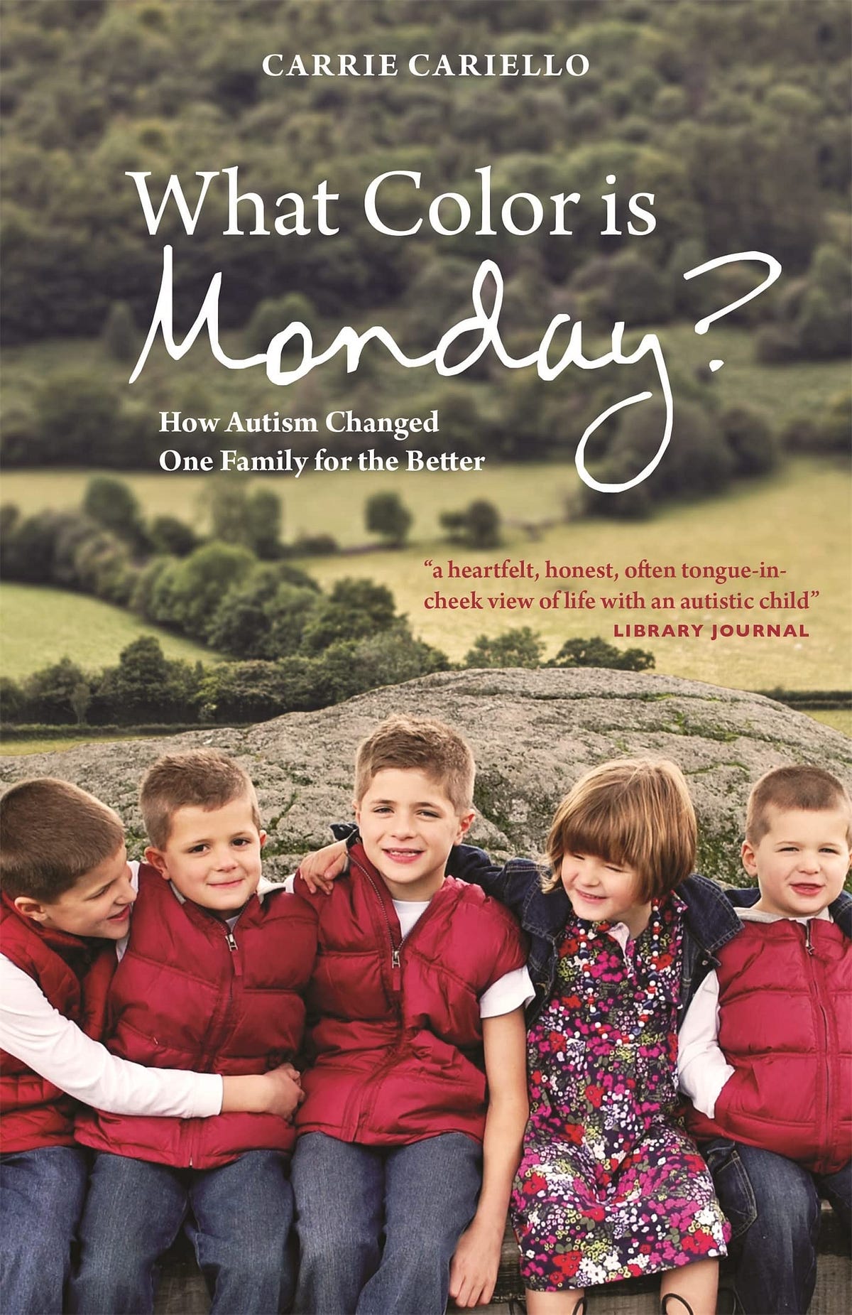 [READING BOOK] What Color is Monday? | by Kylee Sutton | Jun, 2024 | Medium