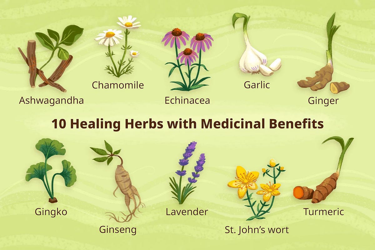 Rediscovering the Potency of Herbal Remedies: Transforming Effective ...