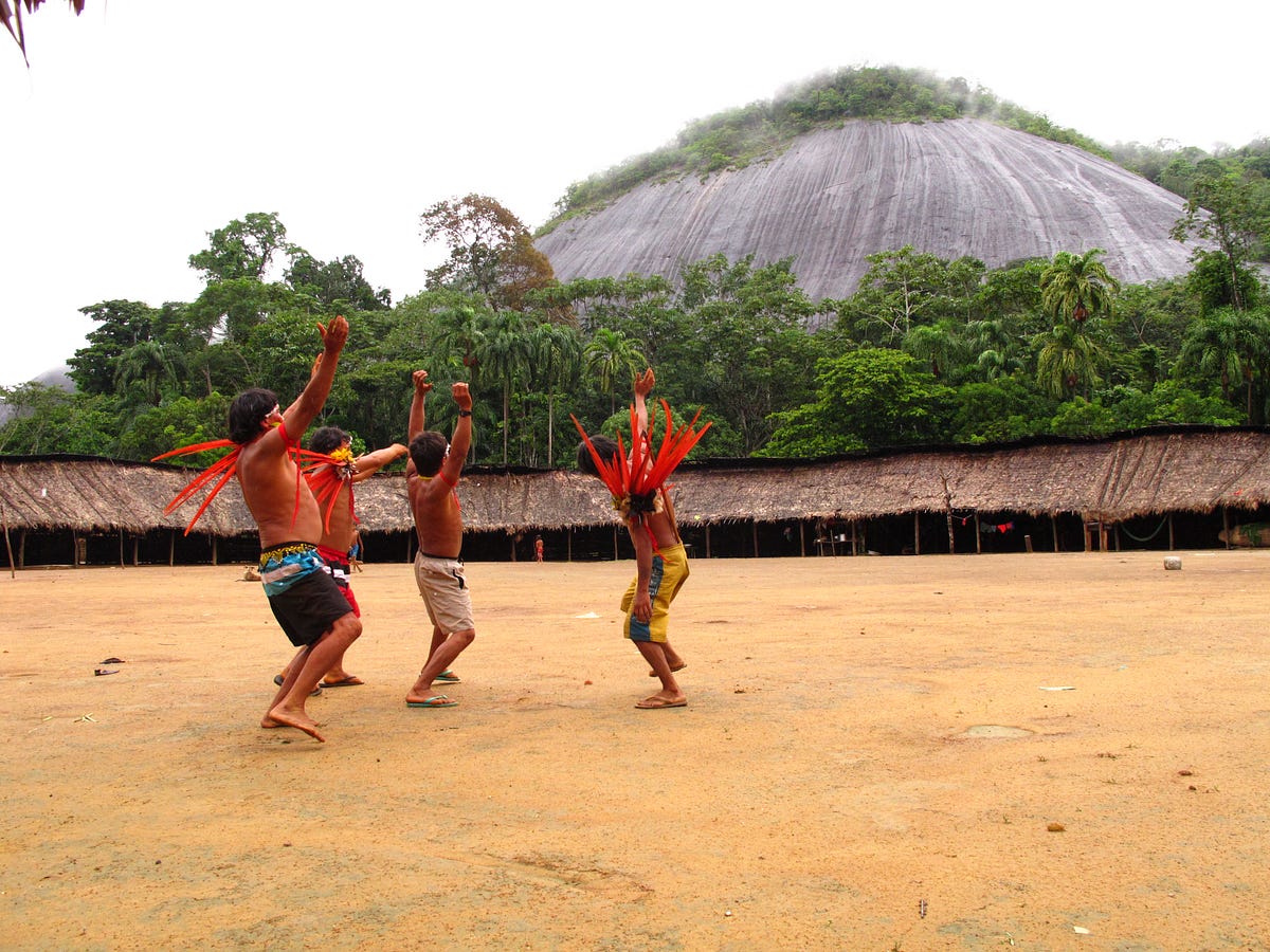 The traditional Yanomami medicine is now available to the world | by ...