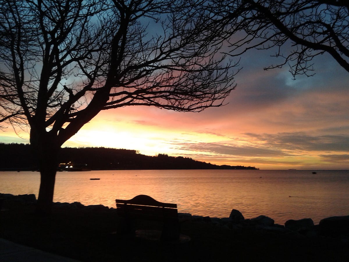 The Pain of Not Enough. How I found my courage to change that | by ...