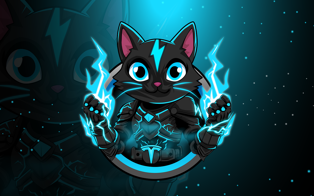 The history of Macak. Meet the cat behind Tesla & Elon Musk… | by ...
