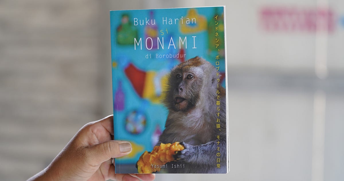 The Diary of Monkey at Borobudur. The daily activity of Monami the ...