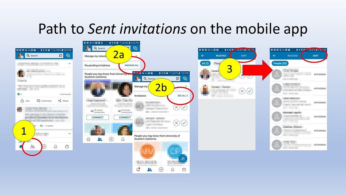 Building a Professional LinkedIn Network: Connections, Interactions ...
