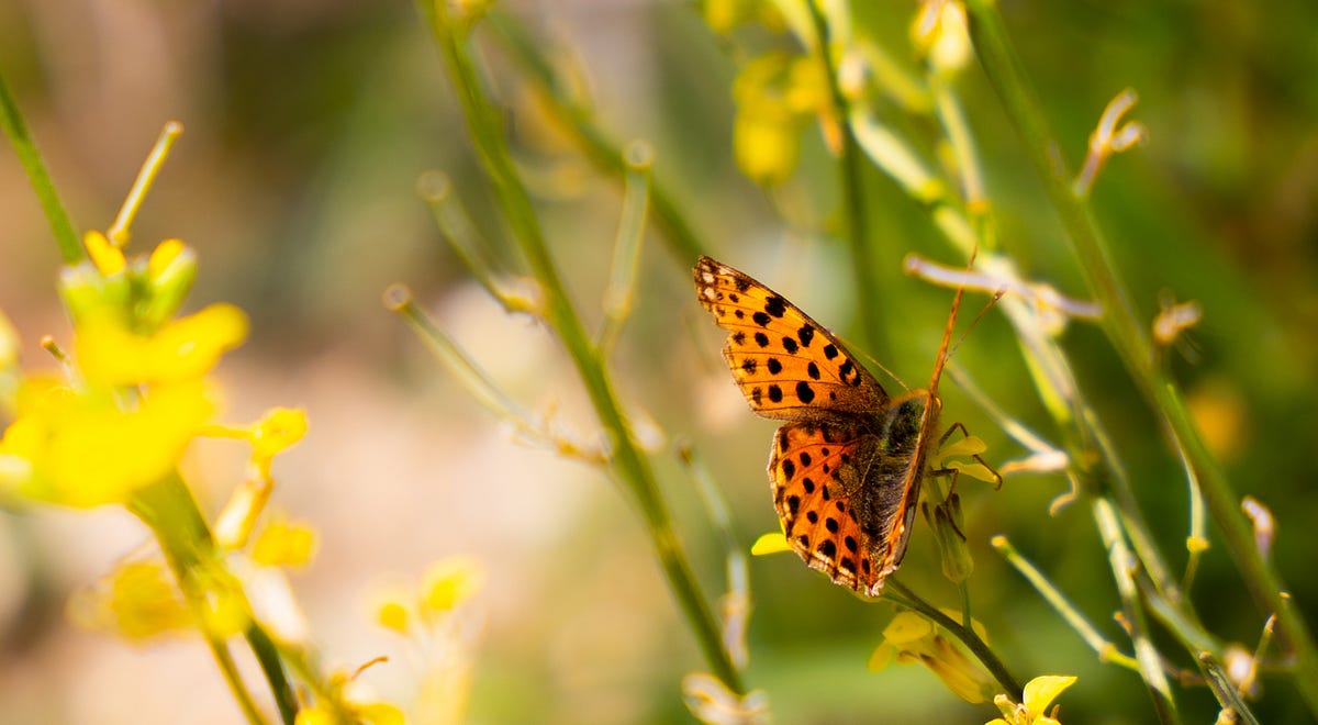 Javascript Reduce Metodu Detaylı İnceleme | by Toprak Erzurumluoğlu ...