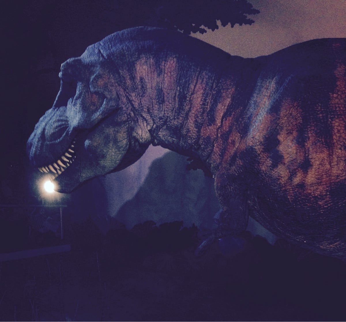 On sleeping with dinosaurs. I sleep with dinosaurs. | by Sotonye | Medium