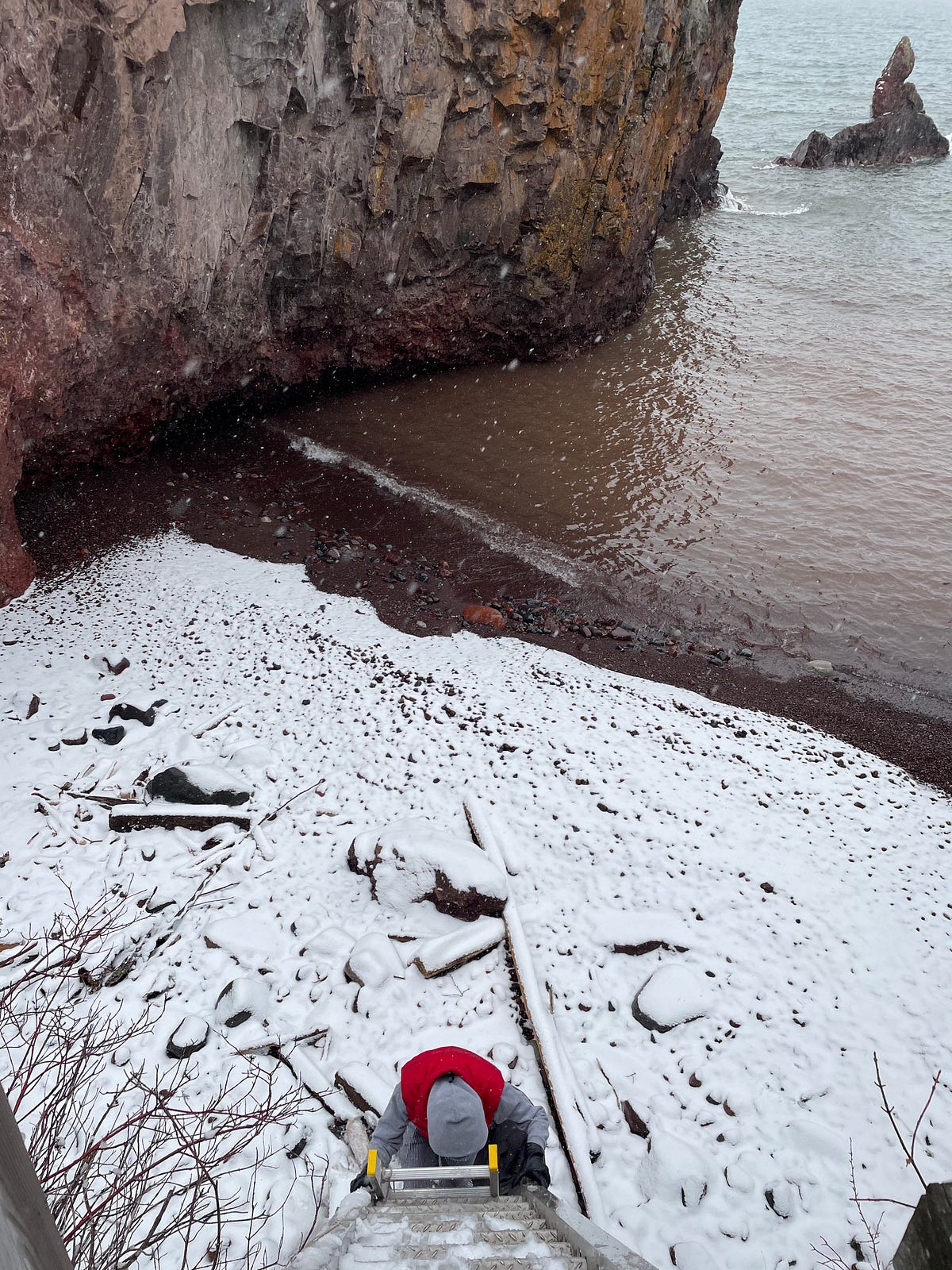 A Slippery Ladder - Jane Weesner - Medium