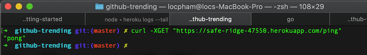How to deploy a simple Go project to Heroku | by Pham Tan Loc | Medium