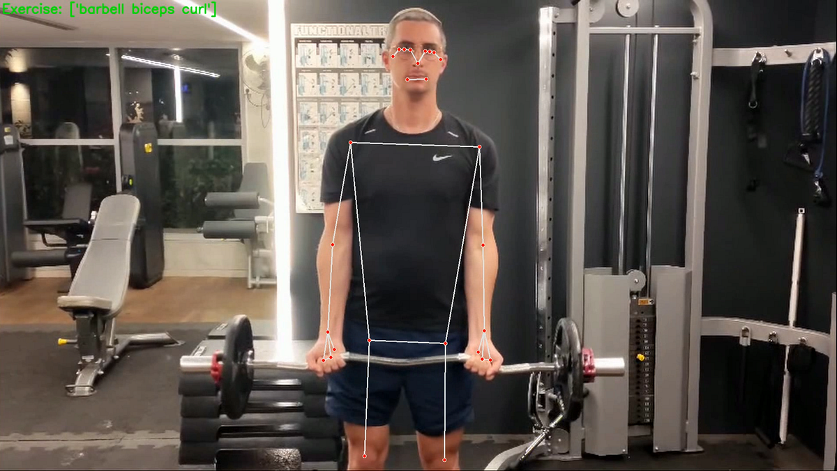Building a Real-Time Exercise Pose Detector with Transformer Models ...