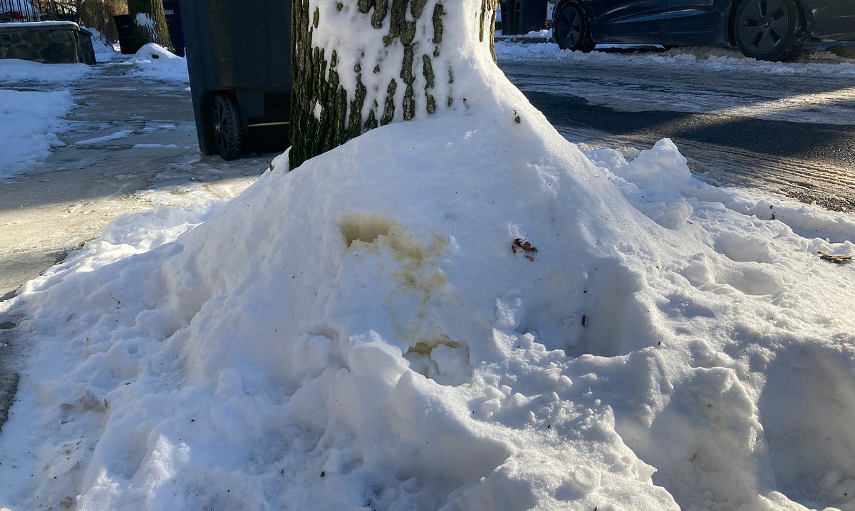 Pro Tip: Yellow Snow is not Lemon-Flavored | by R. Klemek | Redemption